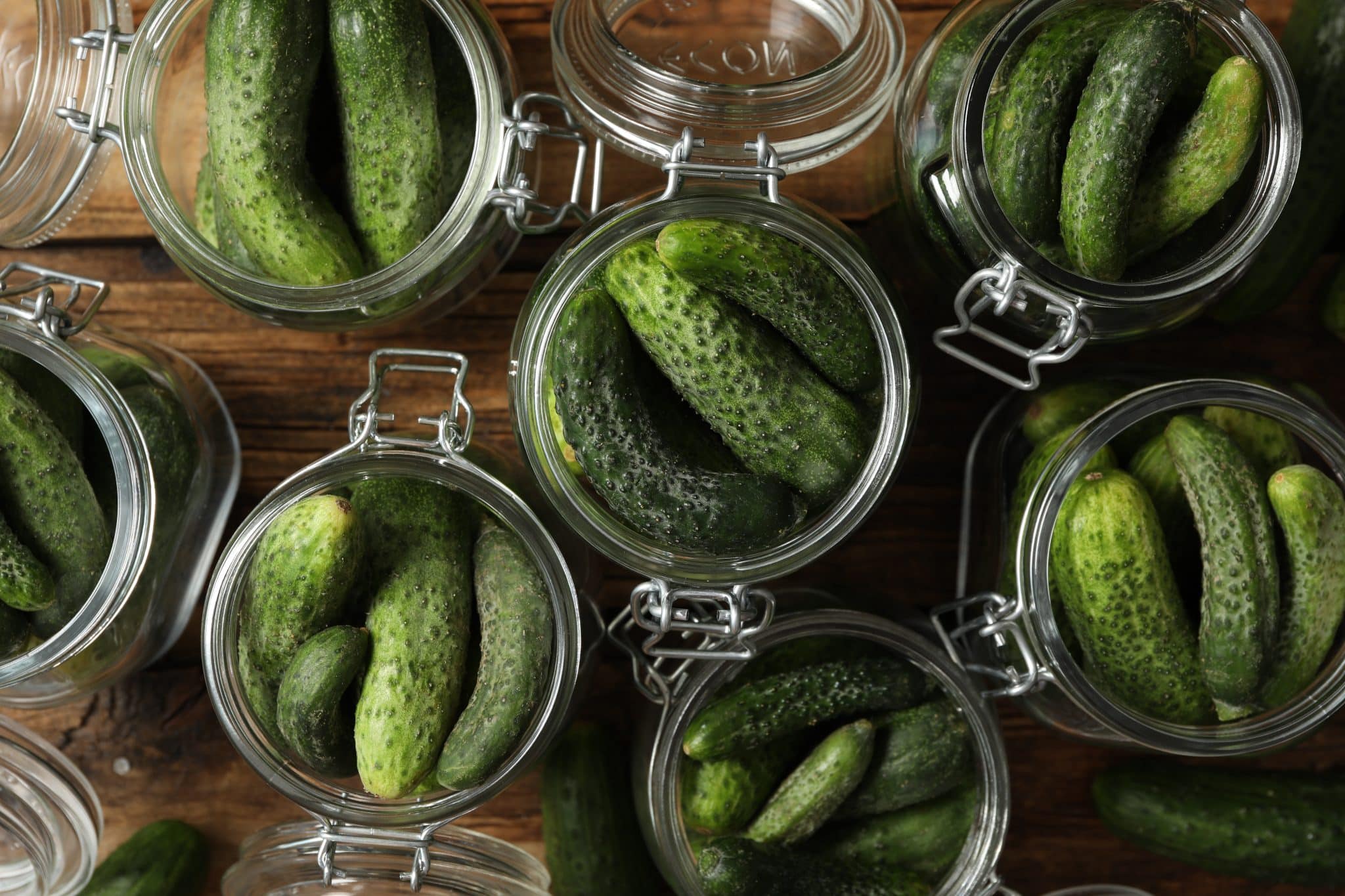 What is Pickle Salt? Handy Cookbook