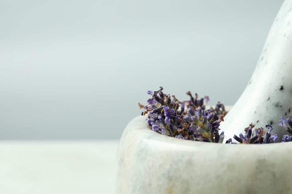 How to Extract Lavender to Make Lavender Oil